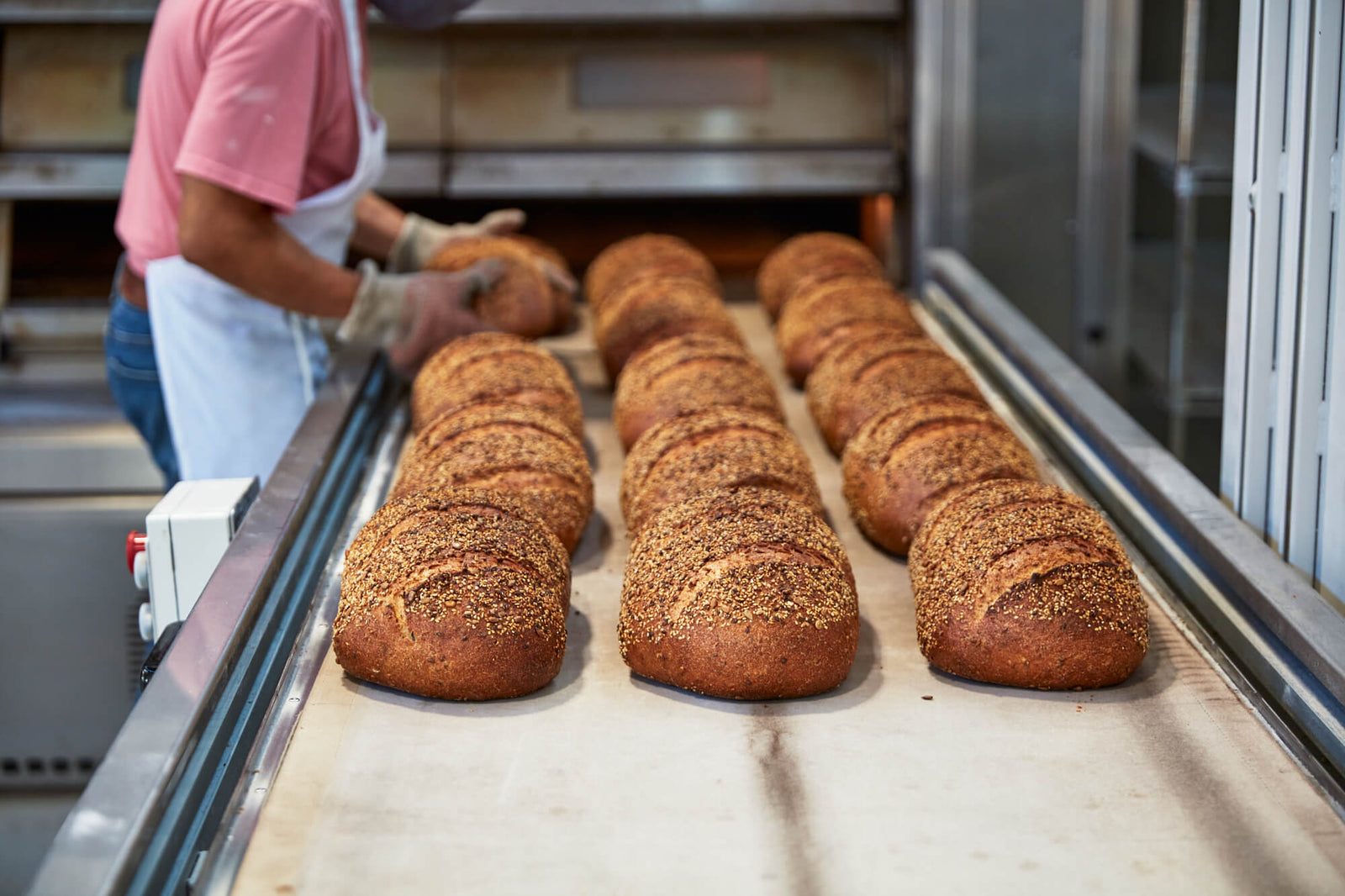 Wholesale Bakery - Wholesale Pastries - Starter Bakery