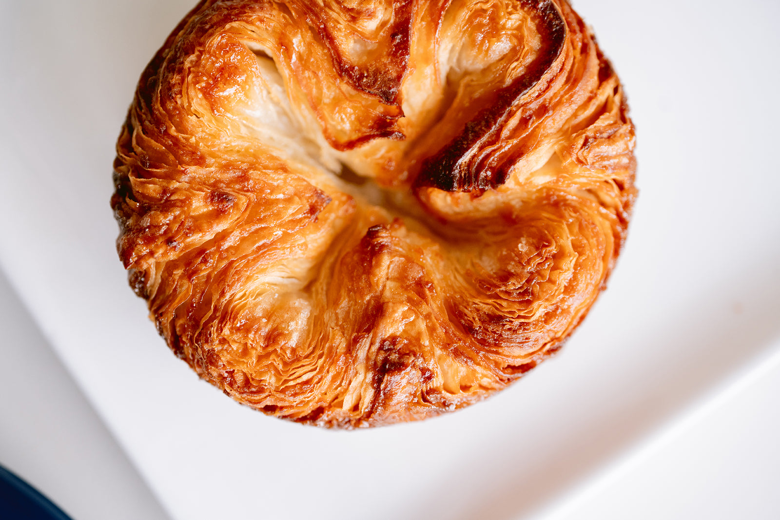 Solano – Starter Bakery
